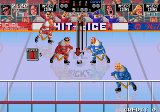 Hit the Ice (US) ROM