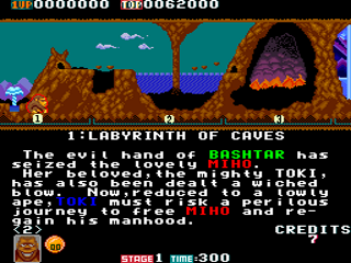 Toki (World, set 1) ROM