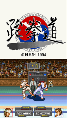 Taekwon-Do (Japan) (Ja,Ko) ROM