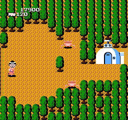 Dragon Power (USA) ROM