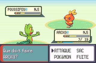 Pokemon Version Emeraude (F)(Eternity) ROM